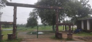 Pench Tiger Reserve: Complete Guide to All Safari Gates