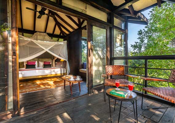 Luxury Hotel in Pench | Resorts in Pench | Pench Tree Lodge