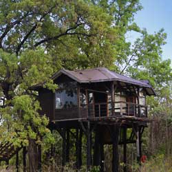 Pench Wildlife Resort | Tree Houses in Pench | Pench Resorts