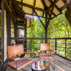Pench Wildlife Resort | Tree Houses in Pench | Pench Resorts