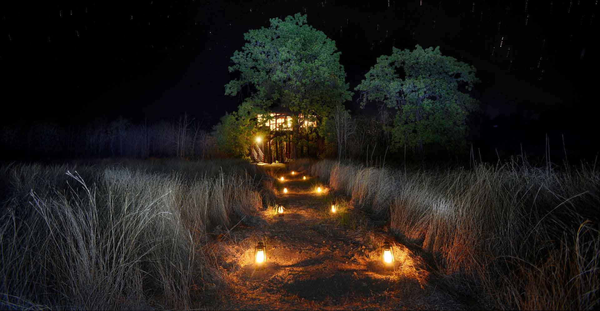 Luxury Hotel in Pench | Resorts in Pench | Pench Tree Lodge