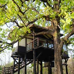 Pench Wildlife Resort | Tree Houses in Pench | Pench Resorts